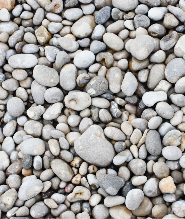 Home - Blade Runners