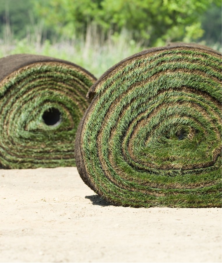 Home - Blade Runners